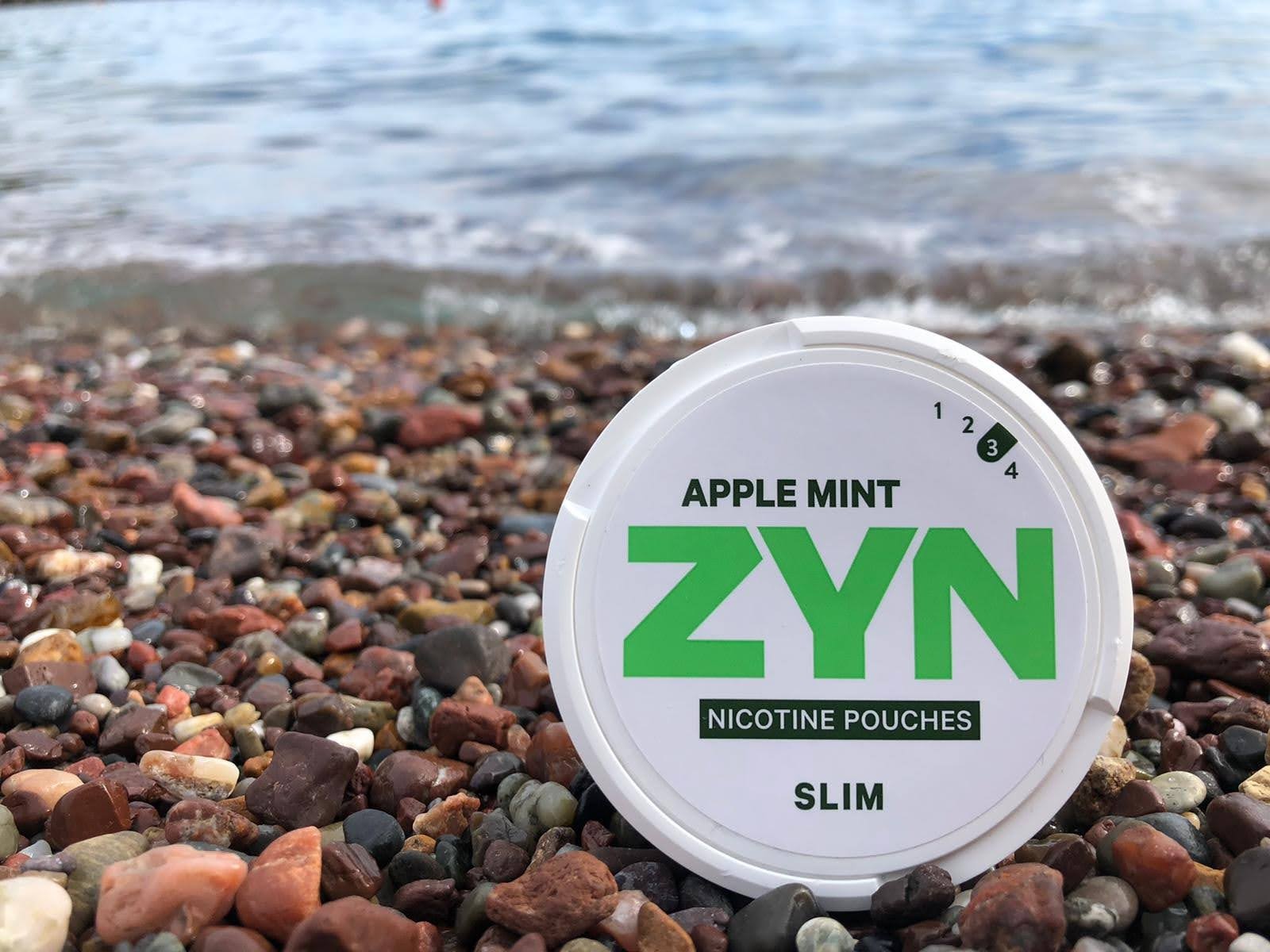 ZYN, snus and the sometimes confusing world of terminology. - The Daily ...